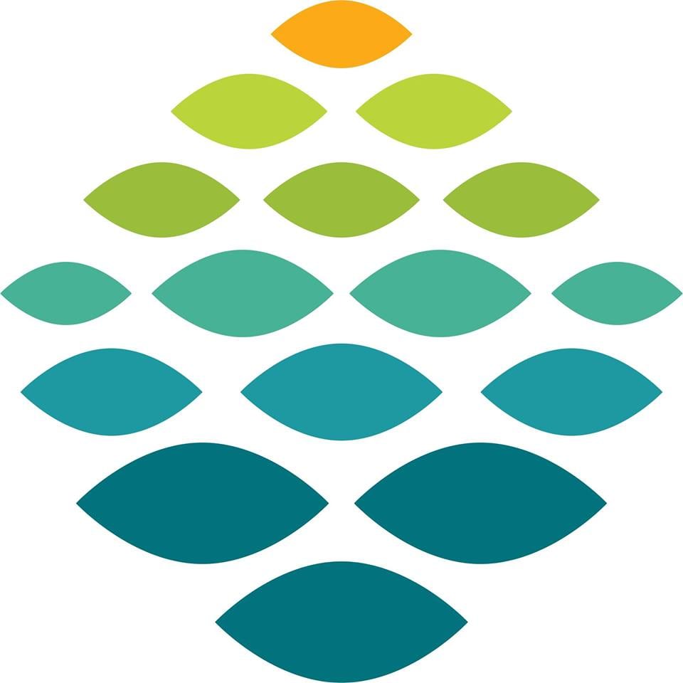 Our New Logo… What Is It? – Northern Light Eastern Maine Medical Center